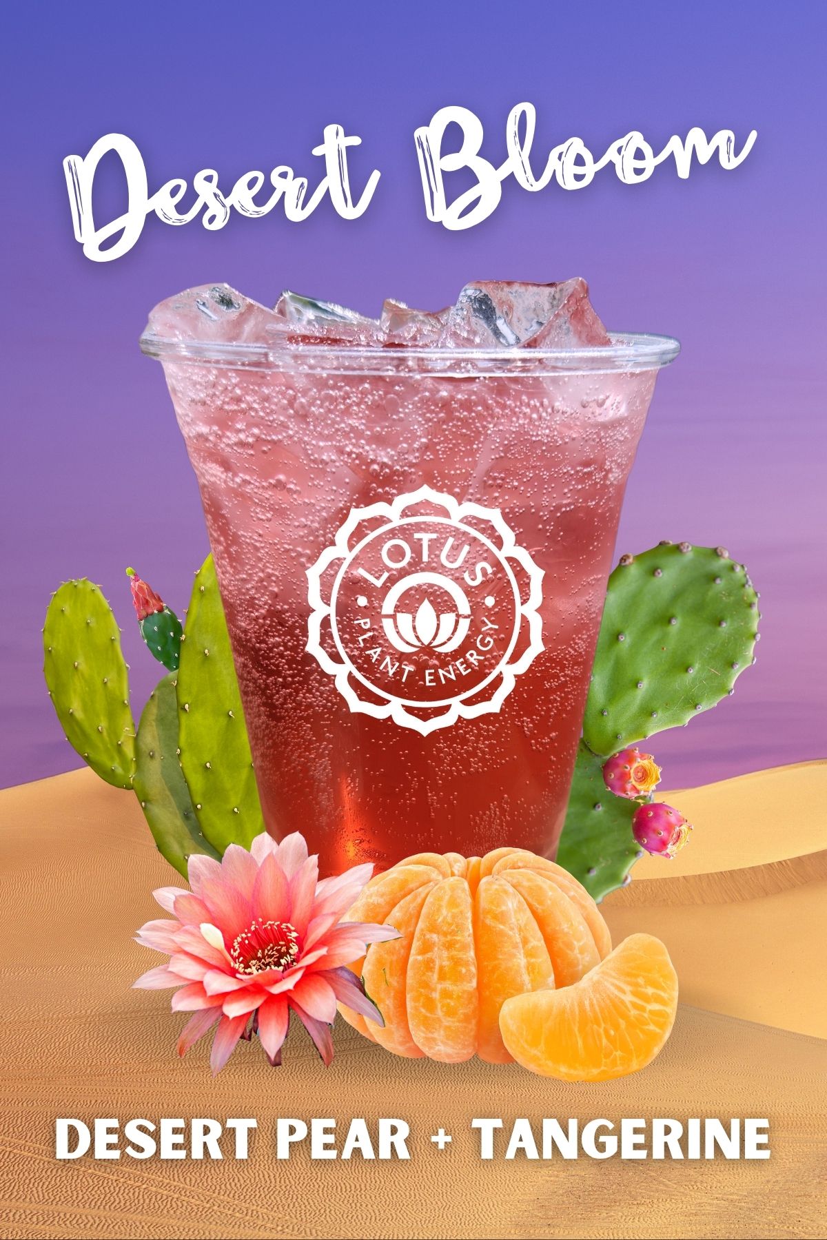 Lotus Menu - The Pickle Jar Grinds & Finds