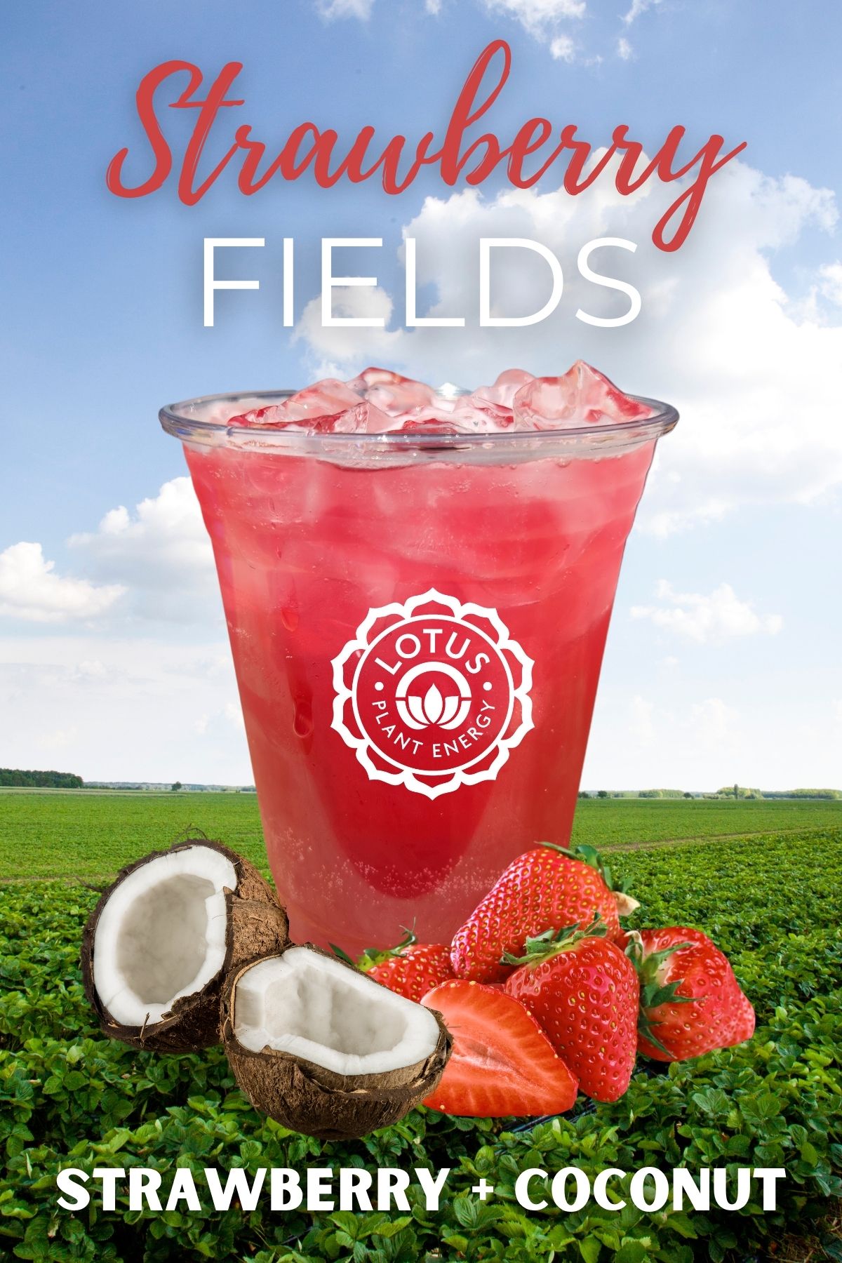 Lotus Menu - The Pickle Jar Grinds & Finds